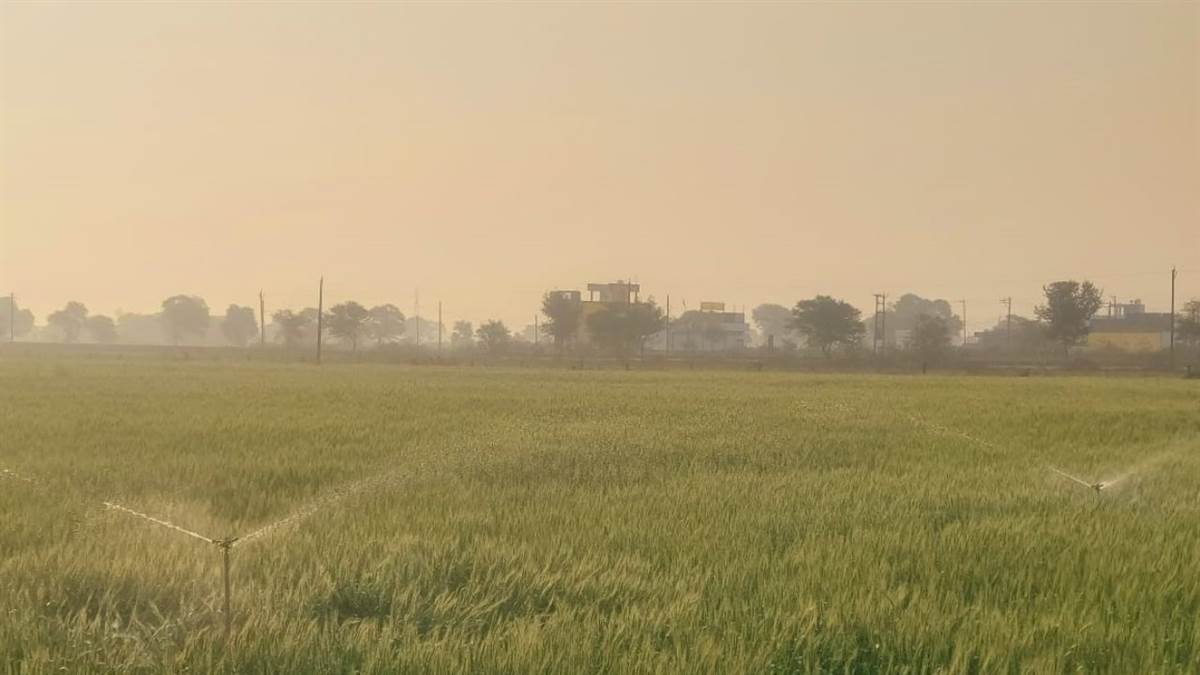 Vidisha Weather Update: विदिशा में ठंड से मिलेगी राहत, दिन और रात का ...