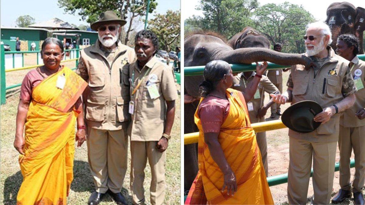 PM Visit: थेप्पाकडु एलिफेंट पार्क में बोम्मन और बेली के साथ बोम्मी और ...