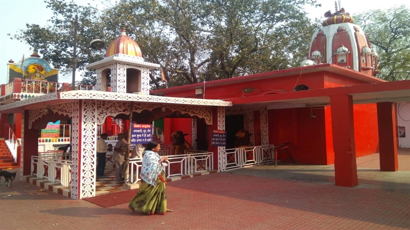 Korba Navratra News: मनोकामना के ज्योत से जगमग होंगे देवी मां के दरबार ...