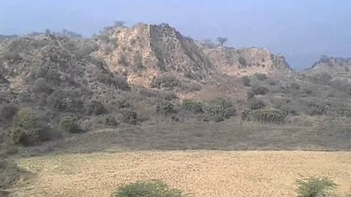 MP News: भिंड के बीहड़ में छाएगी हरियाली, 1200 हेक्टेयर भूमि वन विभाग ...