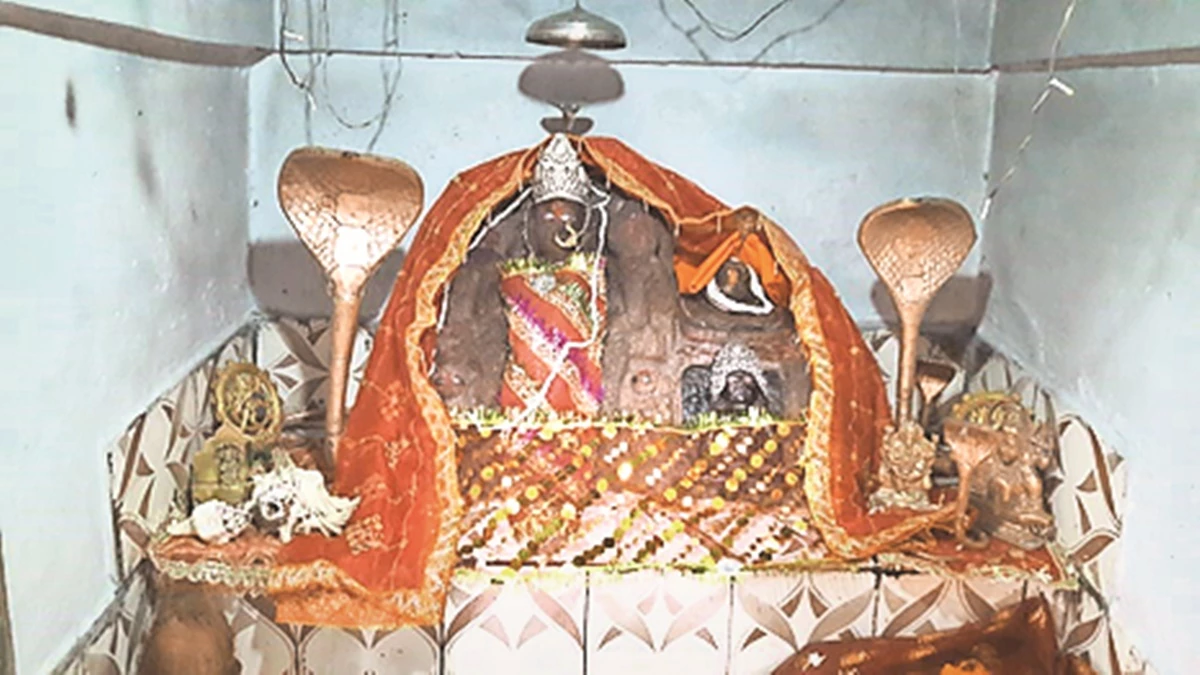 11वीं सदी का है धमतरी का अनोखा नागदेव मंदिर, जहां सांप करते हैं वास ...
