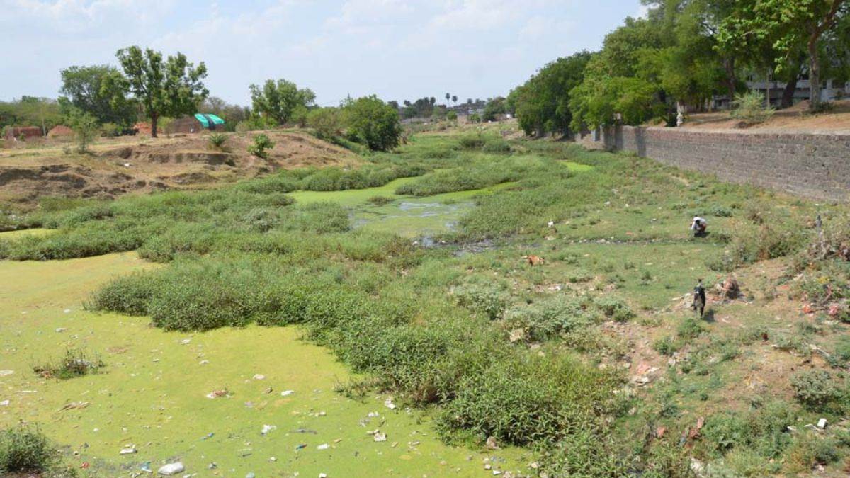 Rajgarh News: बारिश के अभाव में सूख गई अजनार नदी, क्षेत्र के कई तालाब ...