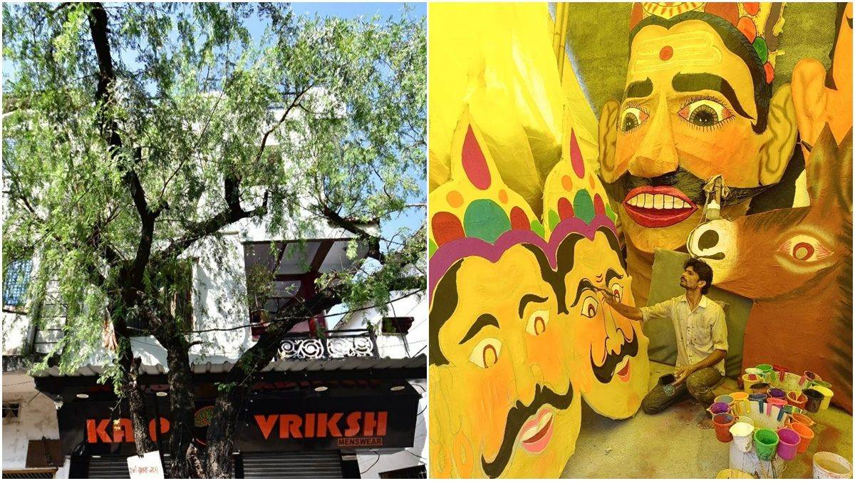 Dussehra Shami Puja: दशहरे पर अपराजिता माता और शमी वृक्ष का होगा पूजन ...