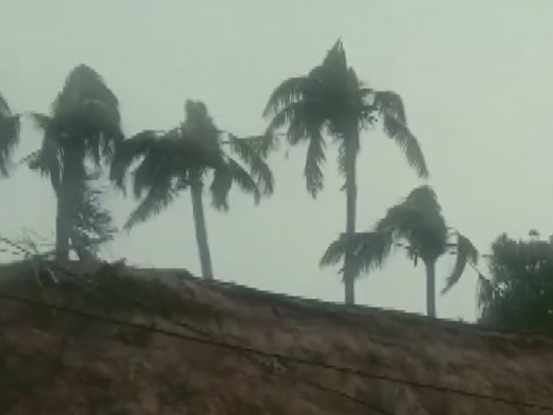 Cyclone Bulbul Update: बंगाल से गुजरने वाला है चक्रवात बुलबुल, कोलकाता ...