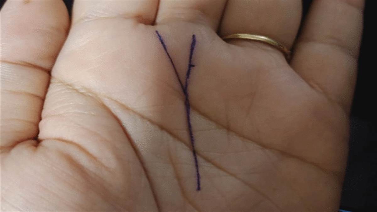 Sign In Palm: क्या आपके हाथ में भी बन रहा है Y का निशान? जानें आपके लिए ...