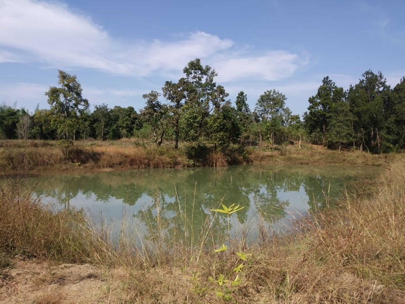 Balaghat News: बाघ और वन्य प्राण‍ियों के विचरण के लिए अपने खेत में ही ...