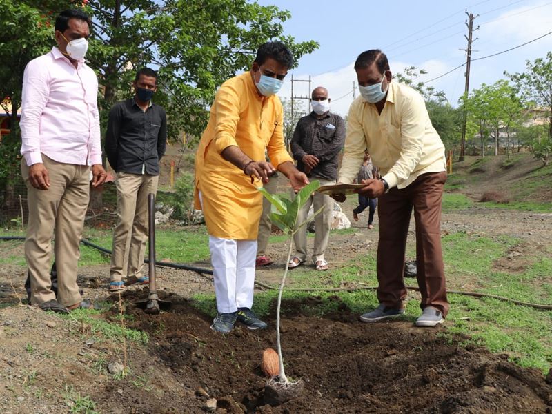 Naidunia Vatvruksh De Vardan: मालवा-निमाड़ अंचल में वट वृक्ष पूजन के ...