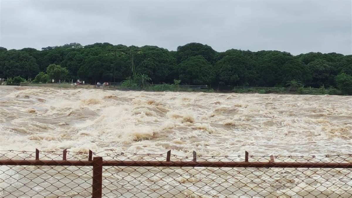 Rainfall in Durg: तेजी से बढ़ रहा है शिवनाथ नदी का जलस्तर, मंडरा रहा है ...