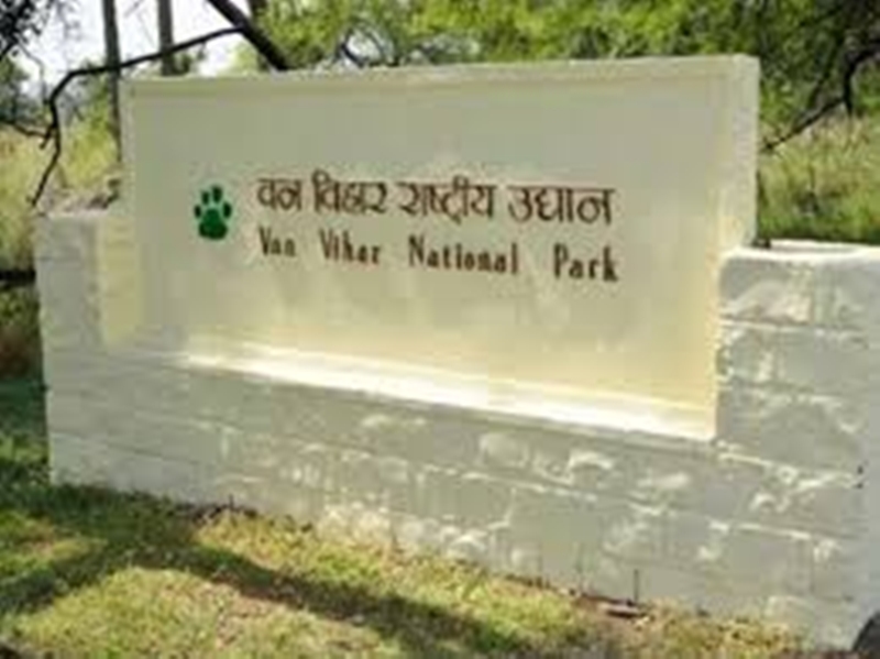 भोपाल के वन विहार में एक साल के भीतर दोगुनी से भी ज्यादा हुई मोरों की ...