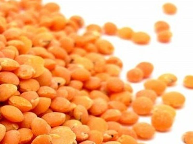 Dal Dalhan Rate in Indore: रूस से मसूर आयात की बातचीत शुरू