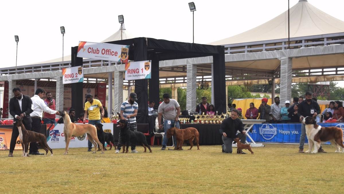 Dog Show in Bhopal: डाग शो में देसी-विदेशी प्रजातियों के श्वानों ने ...