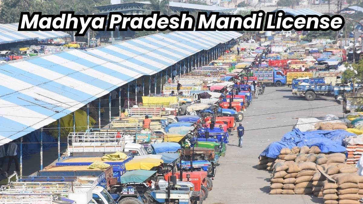 Mandi License in MP: मध्य प्रदेश में मंडी लाइसेंस अब 30 साल तक के लिए ...