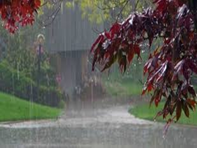 Chhattisgarh Weather Update : दिन में धूप ने किया परेशान, रात में गरज ...