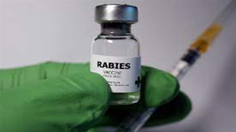 Sort of rabies injection: रैबीज के इंजेक्शन नहीं लोग परेशान - Sort of ...
