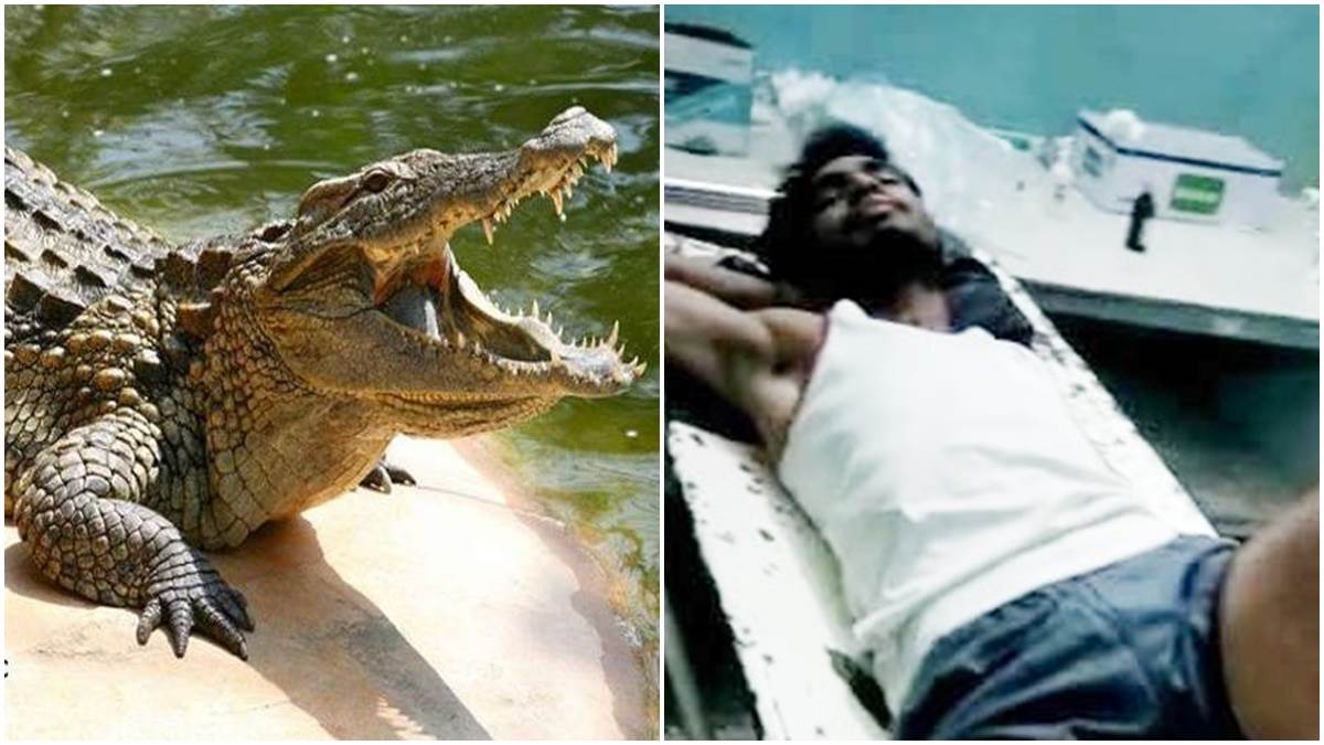 Morena News : चंबल नदी में नहा रहे युवक का पैर मगरमच्छ ने पकड़ा, 10 ...