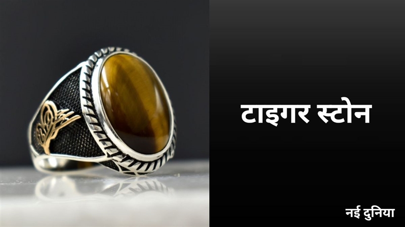 Tiger Stone: बलशाली और ऊर्जावान टाइगर रत्न लेकिन कुछ लोग न धारण करें ...
