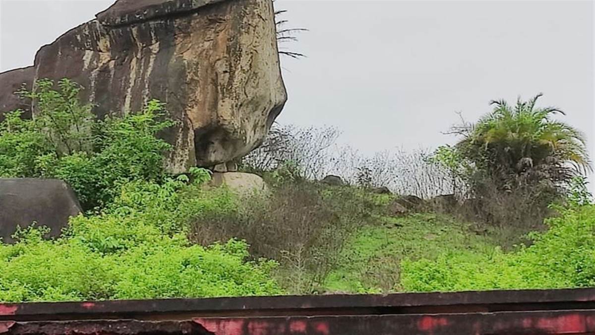 kanker news : तीन शावकों के साथ मादा तेंदुआ ने गांव में डाला डेरा, डर ...