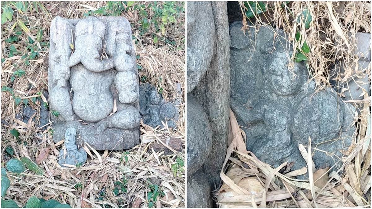 Balaghat News : गोंगलई में एक खेत में बिखरे पड़े हैं 10वीं,11 वीं व 12 ...