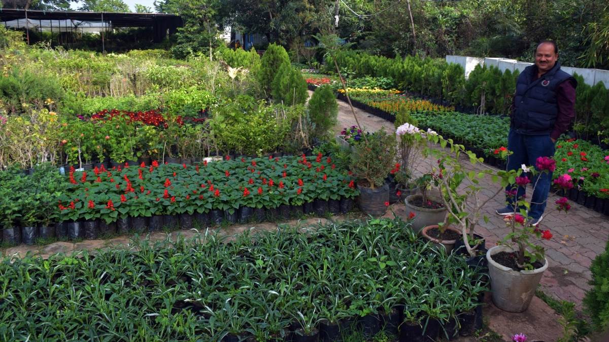 Ayodhya Ram Temple: अयोध्या में राम मंदिर जाने वाले रामपथ और धर्मपथ की ...