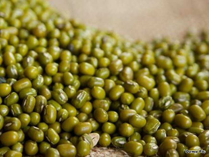 Dal Dalhan Rate in Indore: मूंग के आयात पर प्रतिबंध, दाल में बढ़ा दिए दाम