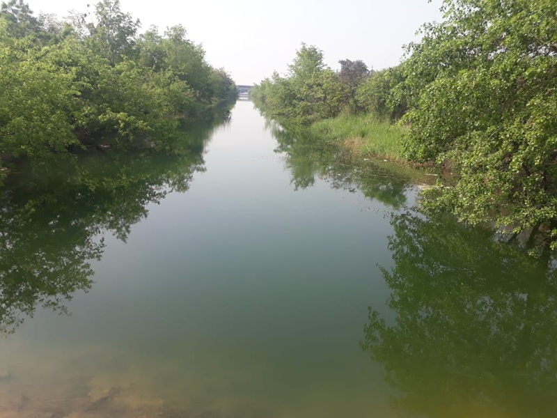 Korba News: नीली झील के पानी से अब खेतों में सिंचाई की संभावना तलाश रहा ...