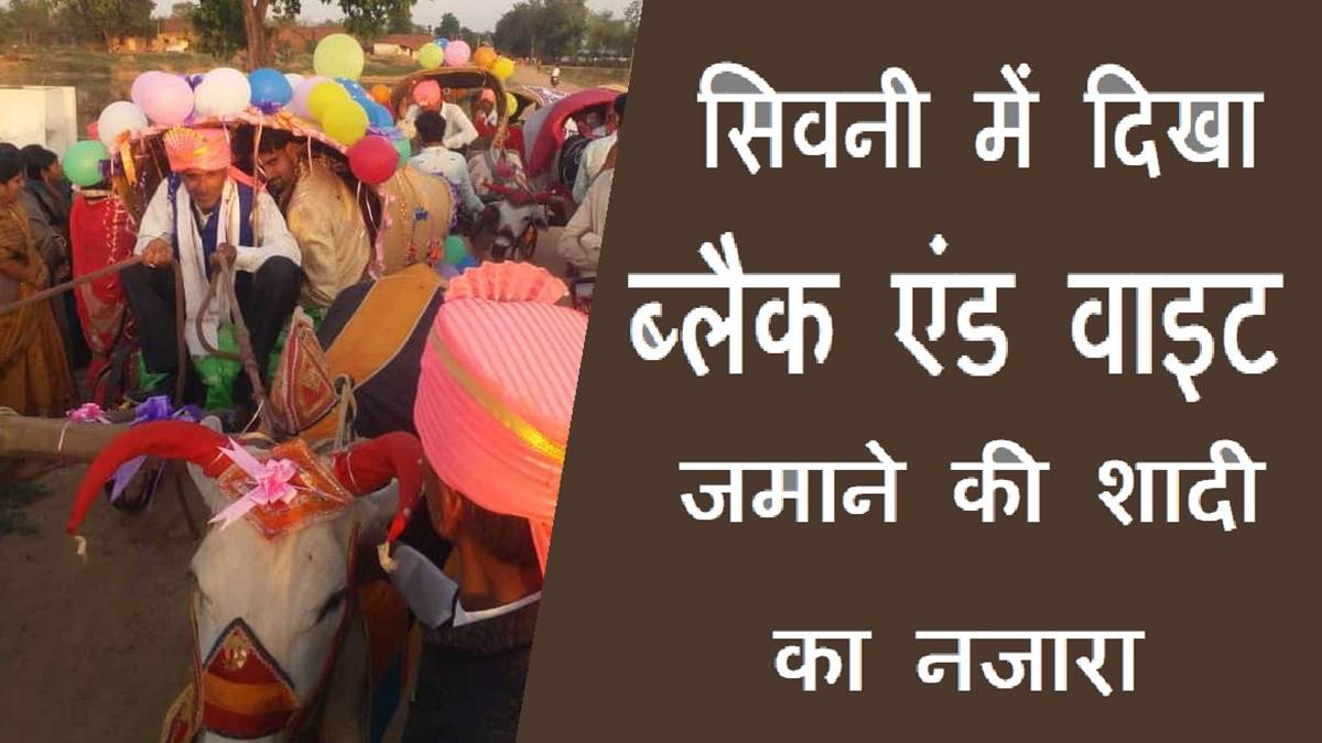 Seoni News: विलुप्त परंपरा को बचाने बैलगाड़ी पर दुल्हा-दुल्हन के साथ घर ...