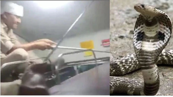 मैहर में जनता एक्सप्रेस के एसी कोच में निकला सांप, सतना में पहुंचे ...