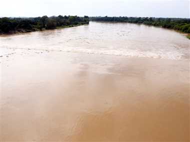 बढ़ रहा शिवनाथ नदी का जलस्तर, महमरा एनीकट के ऊपर चार फीट पानी - Rising ...