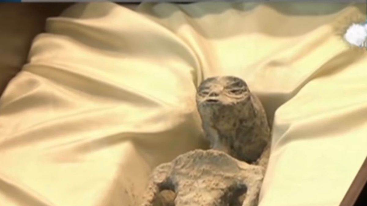 Alien Video: एलियन के 1000 साल पुराने दो अवशेष मिले, वीडियो देखकर दंग ... Alien Video: एलियन के 1000 साल पुराने दो अवशेष मिले, वीडियो देखकर दंग ...