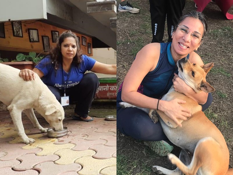 World Kindness Day 2019 : दो दोस्तों की पहल से अब इंदौर के 40 डॉग्स ...