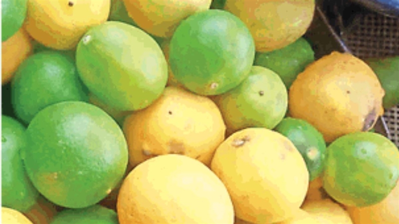 Lemon Price Rise: गर्मी आते ही 160 रुपये किलो पहुंचे नींबू के रेट 10 रुपये में मिल रहा एक नीबू ...