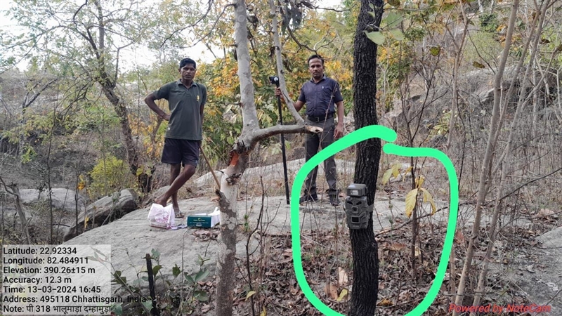 Korba Wildlife News: भालुओं की गतिविधियाें का अध्ययन करने जंगल में लगा ...