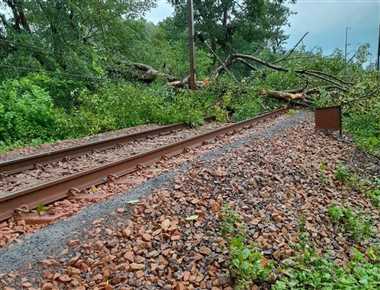 रेलमार्ग पर गिरे पेड़, खड़ी हुई ट्रेनें - Trees fell on railway tracks ...