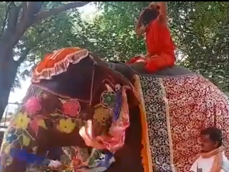 Baba Ramdev हाथी पर बैठकर कर रह थे योग, नीचे गिरे, मथुरा के आश्रम का ...