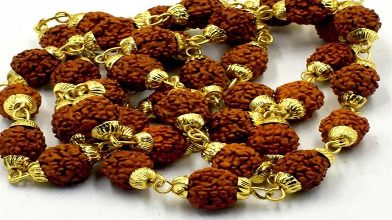 Rudraksha: क्या है रुद्राक्ष जानें रुद्राक्ष और भद्राक्ष में अंतर ...