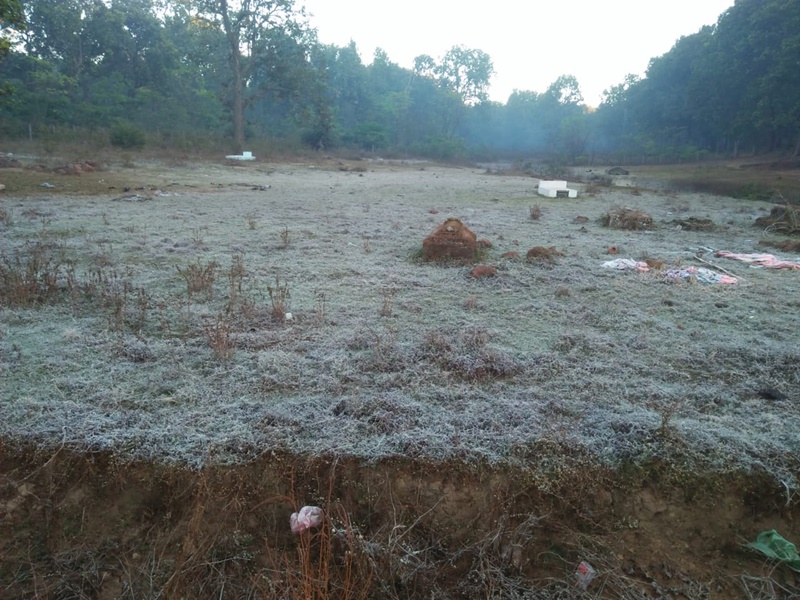 Madhya Pradesh Weather Update: अमरकंटक में पारा पहुंचा शून्य के करीब ...