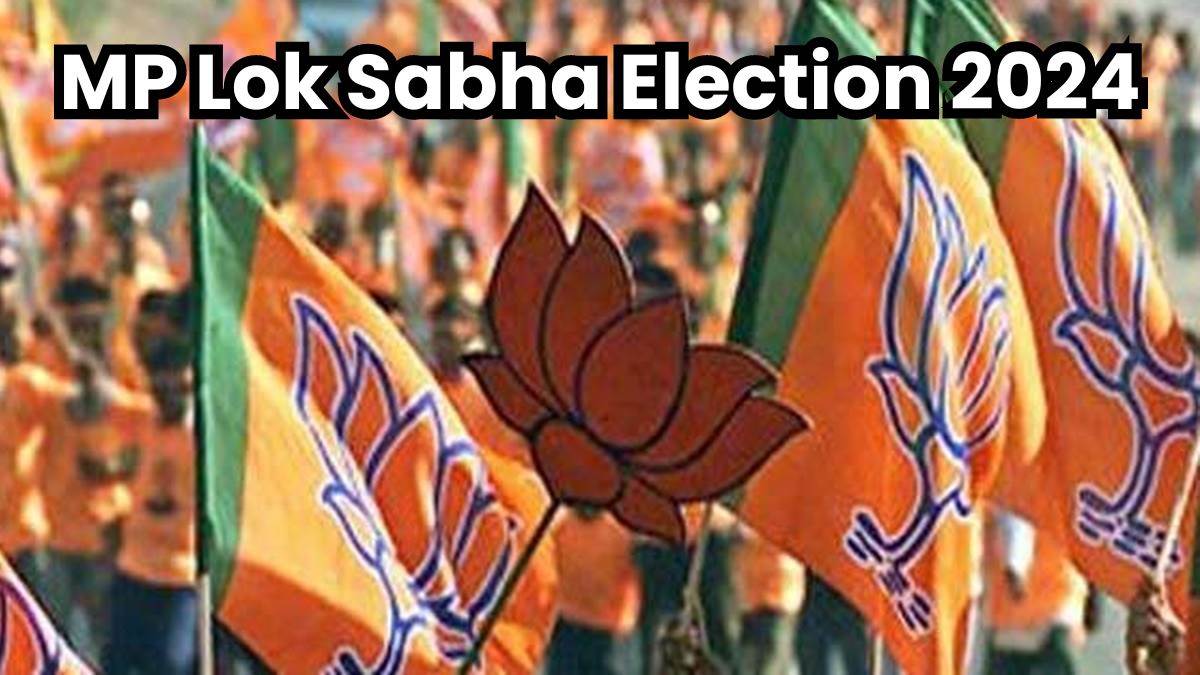 MP Lok Sabha Election 2024: मध्य प्रदेश में संभाग और जिलेवार बैठकें कर भाजपा लोकसभा चुनाव की ...