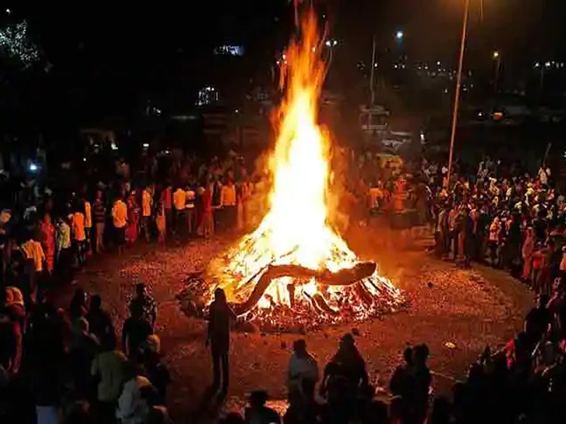 Holi 2022: होलिका दहन में इन पेड़ों की लकड़ियां जलाना होता है अशुभ ...