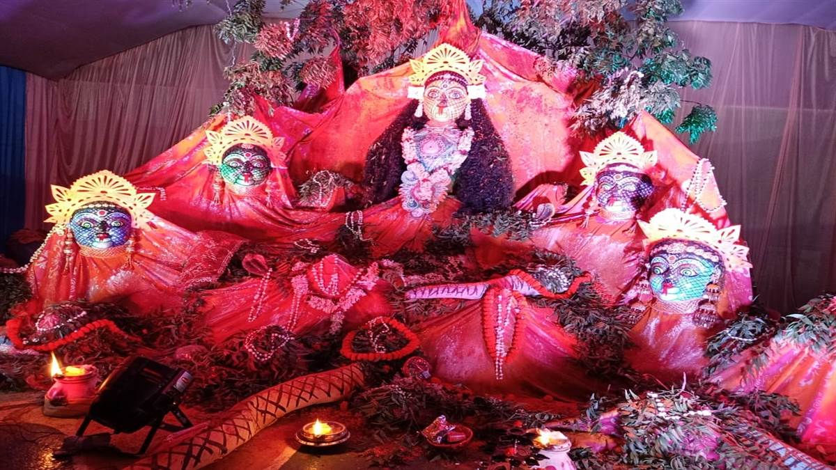 Bialspur News: मां मनसा देवी ने पंचमुखी नाग माता के रूप में भक्‍तों को ...