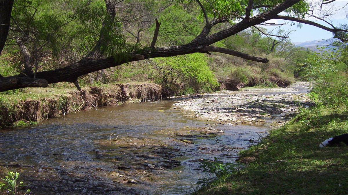 Korba News: गुंजन नाला में बनेगा पांच करोड़ का पुल - Five crore bridge ...