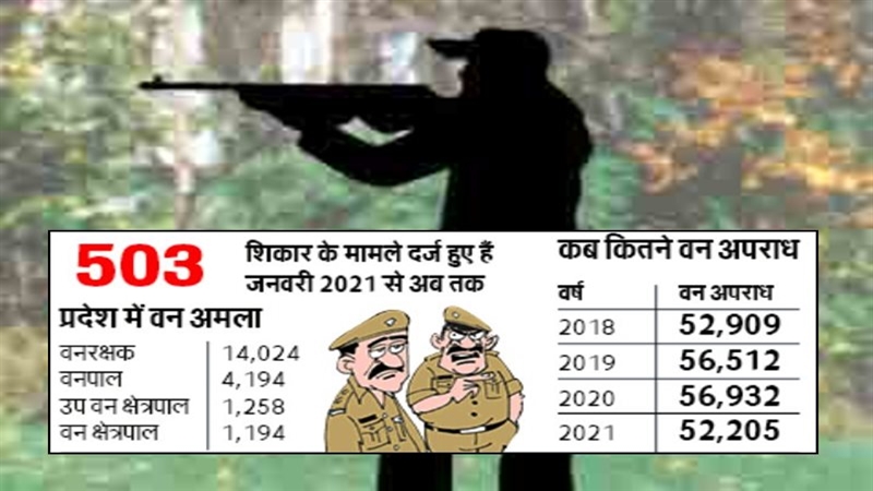 MP News: 12 साल में बलिदान हुए 73 वनकर्मी पर बंदूक चलाने के भी नहीं दिए ...
