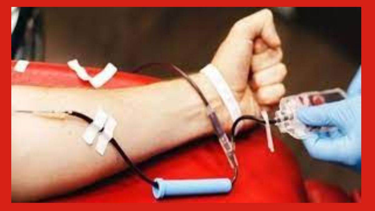Bilaspur News: नियमित अंतराल पर रक्तदान करते हुए बचा रहे मरीजों का जीवन ...