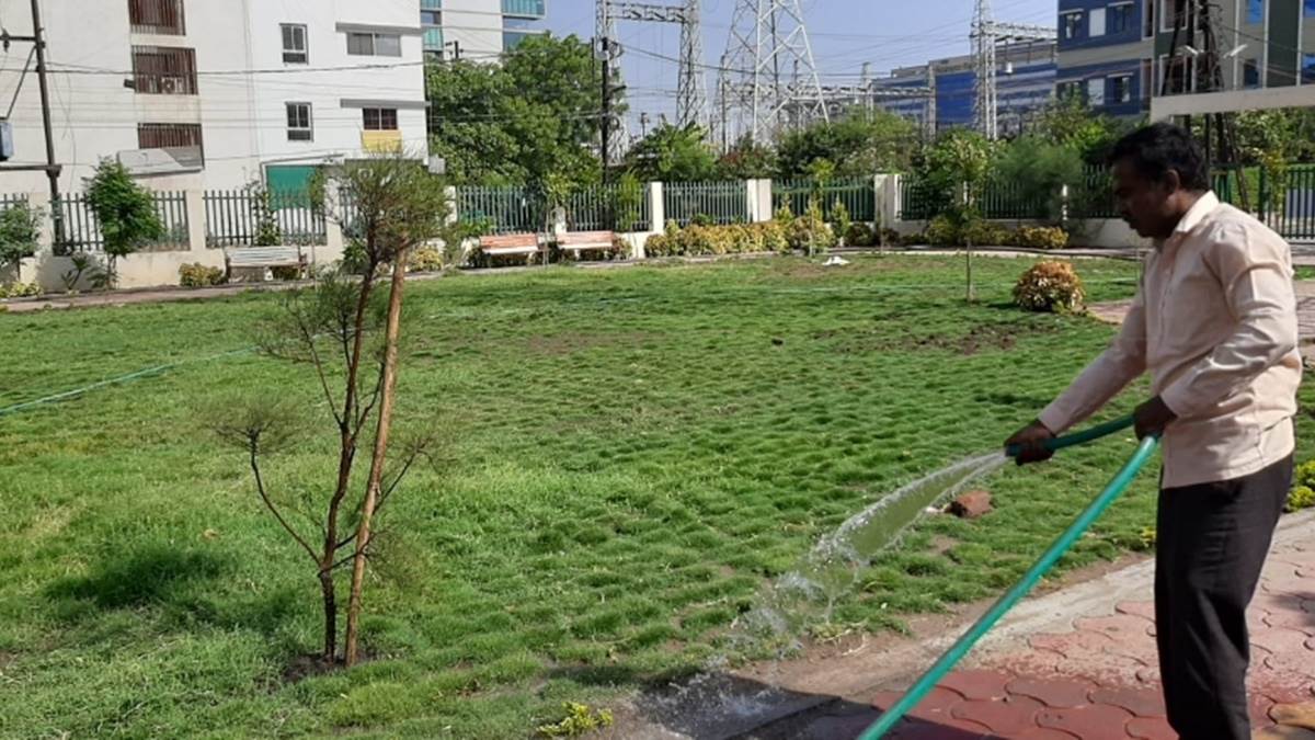 Indore News: उपचारित पानी से डेली कालेज व टाउनशिप में हो रही हरियाली ...