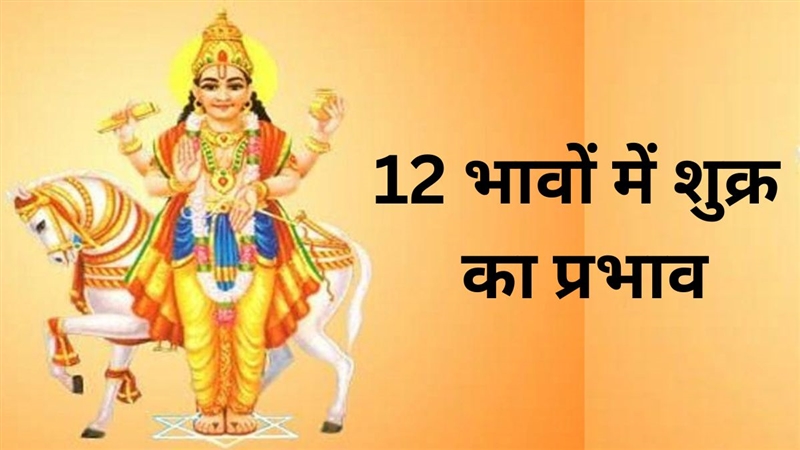 Shukra Dev: कुंडली के किस भाव में शुक्र होता है शुभ-अशुभ फलदायी जानिए ...