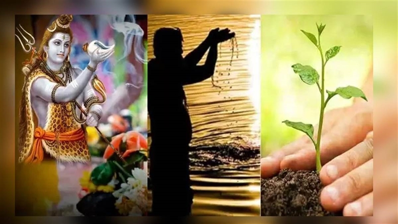 Hariyali Amavasya: हरियाली अमावस्या पर एक पौधा लगाने से समृद्ध होगी ... Hariyali Amavasya: हरियाली अमावस्या पर एक पौधा लगाने से समृद्ध होगी ...