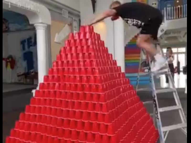 Video : कप से दो दिन में बनाया पिरामिड, आखिरी मौके पर हुआ ऐसा कि नेट ...