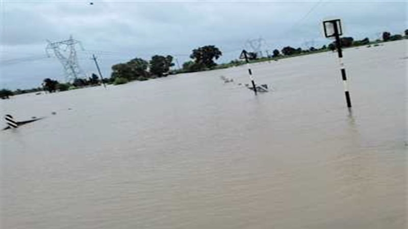 Heavy Rain in MP: मध्य प्रदेश में अतिवृष्टि से खरीफ फसलों को नुकसान - Heavy Rain in MP Damage to ...