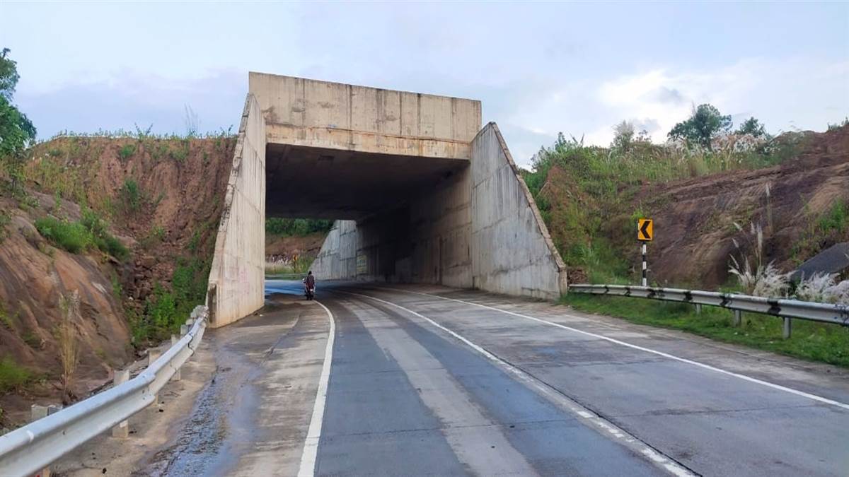 तकनीकी खामियों की वजह से उपयोगहीन साबित हो रहे कोरबा में जानवरों के लिए ...