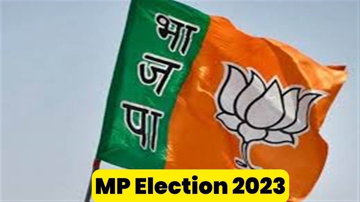 MP Local Body Election 2023: धार में मतदान से पहले बीजेपी ने 42 बागी ...