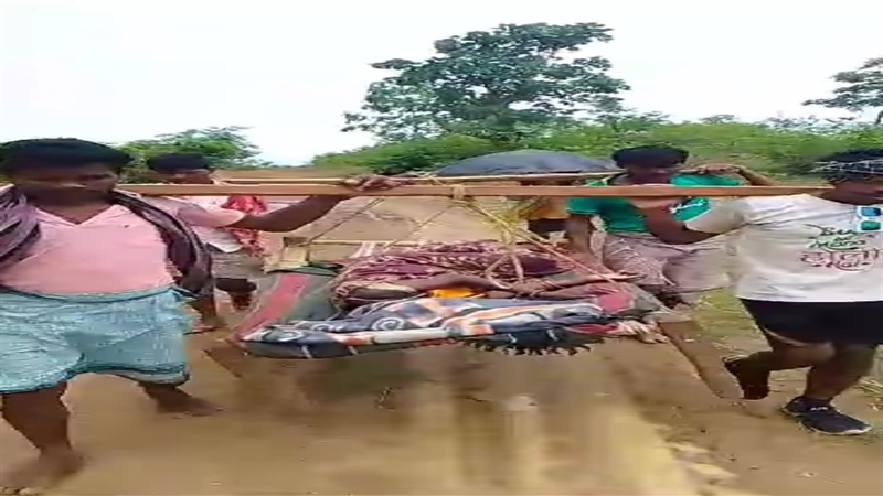 Koriya News : : खाट पर लिटाकर पंडो जनजाति की महिला को पहुंचाया अस्पताल ...